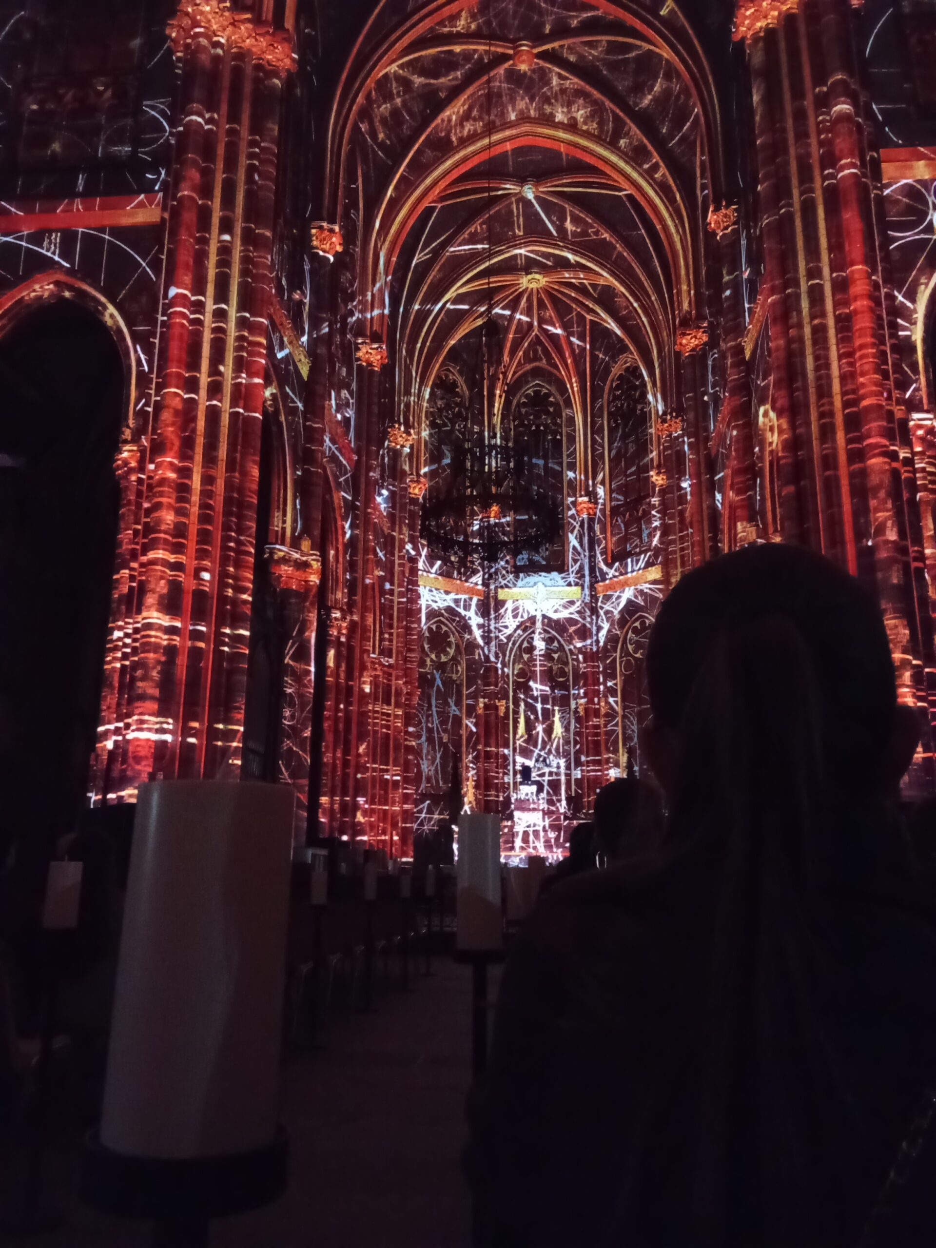 Spectacle Luminescence pour le Fvie d'Avenel - Association Anne Boivent